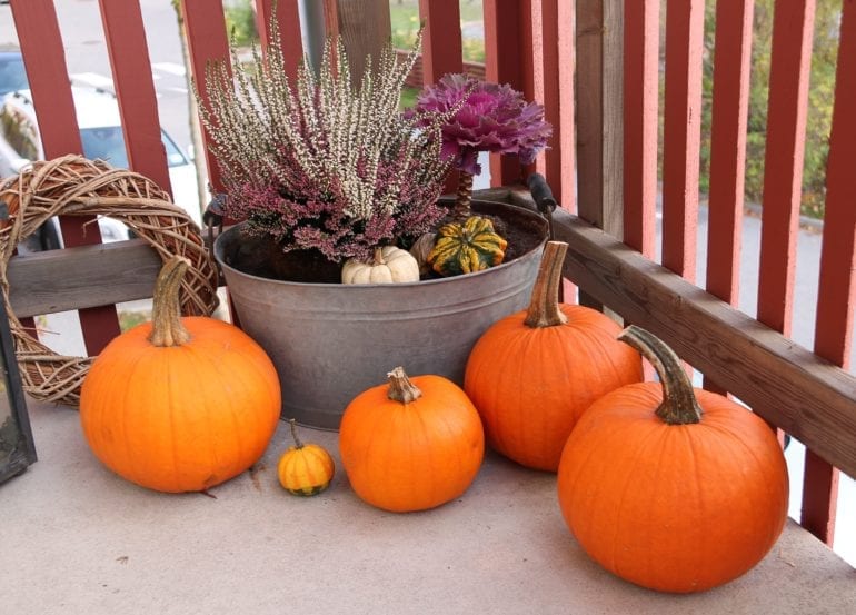 Halloween pumpa 2018 - Diy Sweden