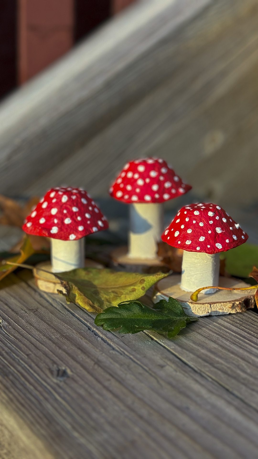 Flugsvamp - Diy Sweden